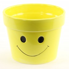 Pot Smiley Face
